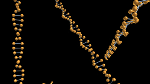 Oligopeptide-34:Advances in Skin Brightening - International Dermal ...